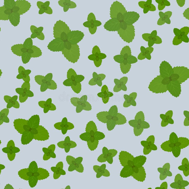 Fresh Green Mint Leaves Isolated on Seamless Pattern Stock Illustration ...