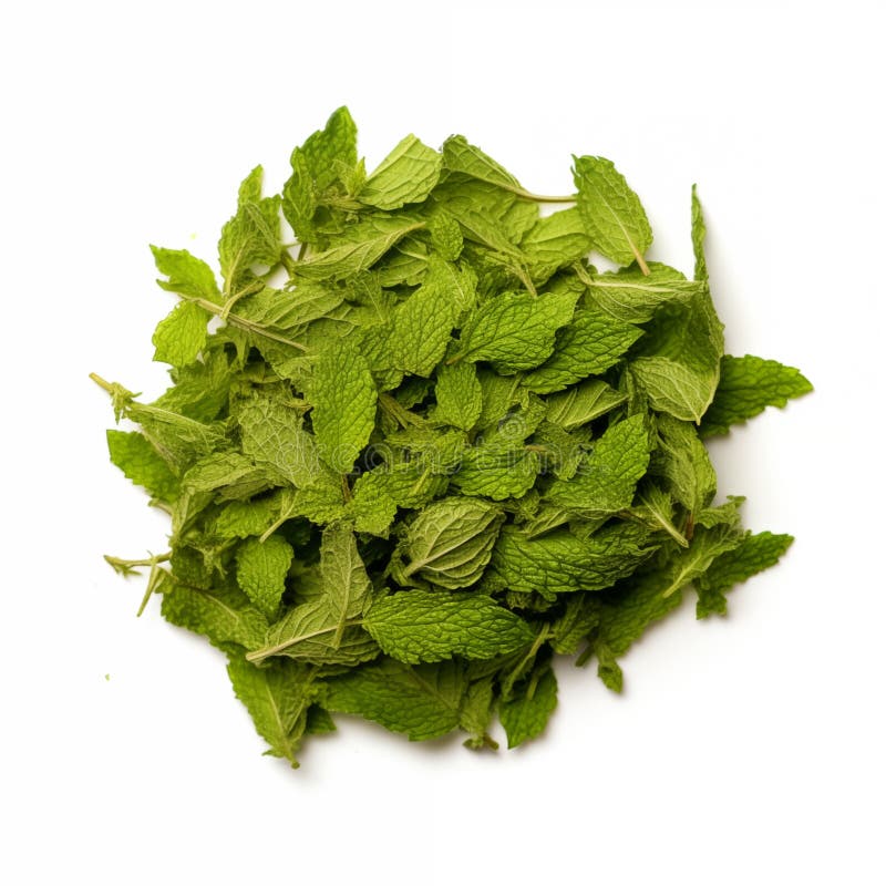Fresh Green Mint Leaves Piled Together on White Background Creating a ...
