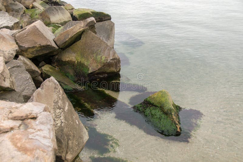 Fresh green ocean stock image. Image of nature, fresh - 68196165