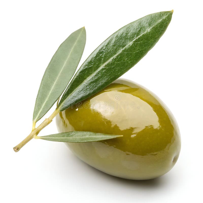 Fresh Green Olive with Leaf Isolated on White Stock Illustration ...