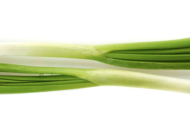 Fresh Green Onion on White Background Stock Image - Image of healthy ...