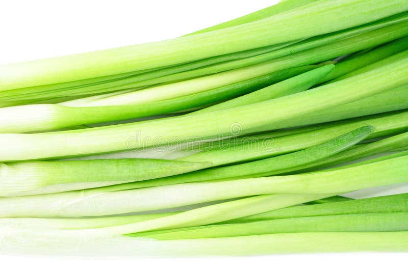 Fresh green onions stock image. Image of edible, herbs - 24411907