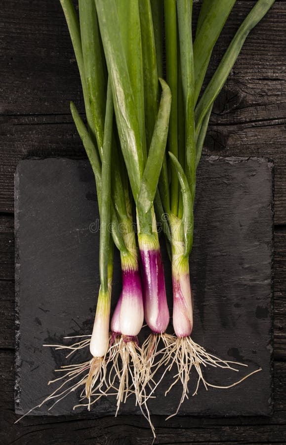 Fresh green onions stock image. Image of groceries, board - 315282883