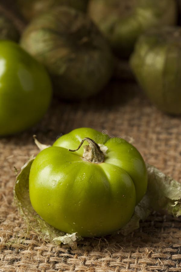 Fresh Green Organic Tomatillo Stock Photo - Image of verde, stem: 28980038