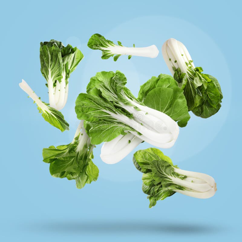 Fresh Green Pak Choy Cabbages Falling on Light Blue Background Stock ...