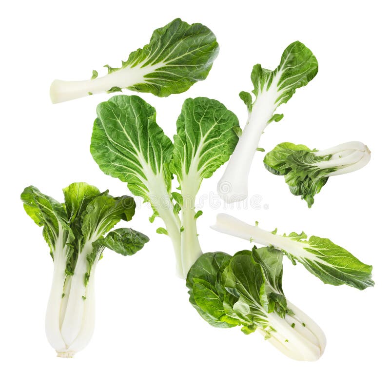 Fresh Green Pak Choy Cabbages Falling on White Background Stock Photo ...