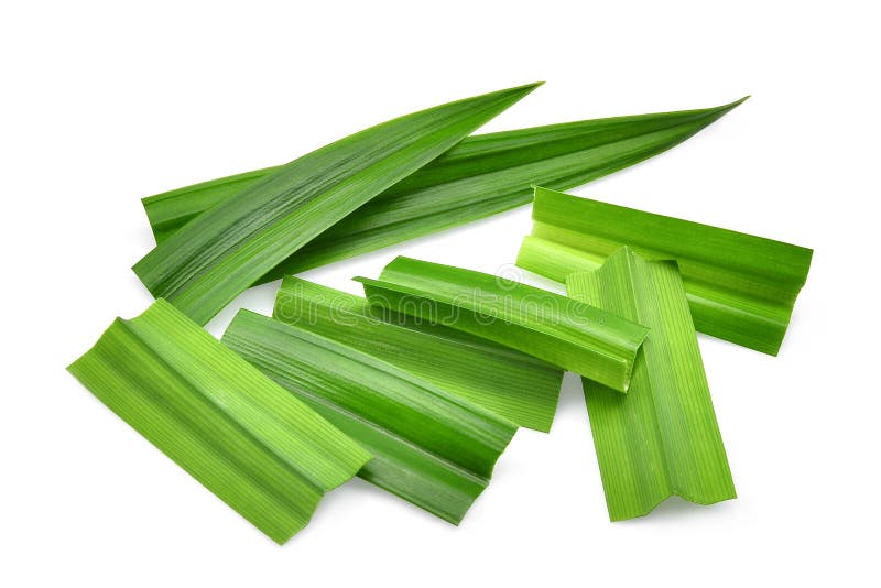 Fresh Green Pandan Leaves on White Stock Image - Image of herbal, color ...