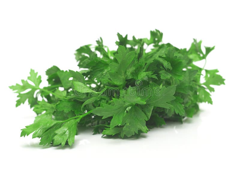 Green parsley stock image. Image of green, parsley, packages - 102458829