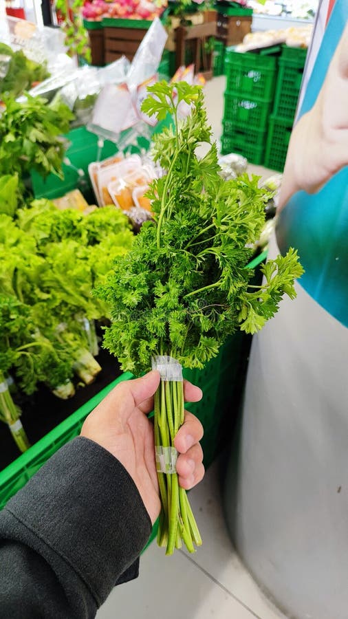 Peterseli Leaves Stock Photos - Free & Royalty-Free Stock Photos from ...