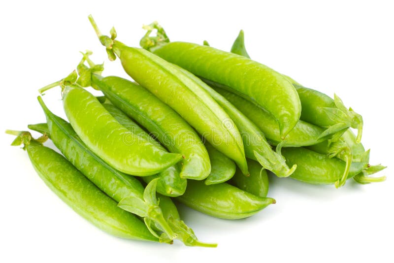 Fresh green pea pod stock image. Image of group, freshness - 23272729