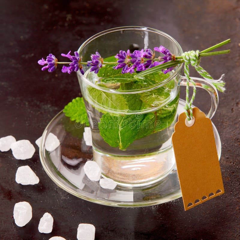 Fresh Green Peppermint Tea in a Cup with an Empty Tag Stock Photo ...