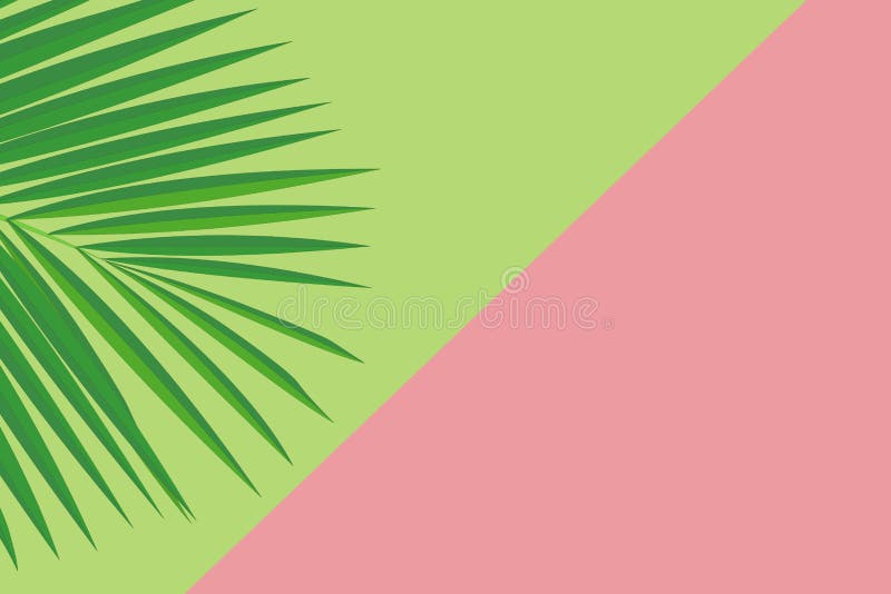 Fresh Green, Pink Geometric Empty Background, Blank for Text, Message ...