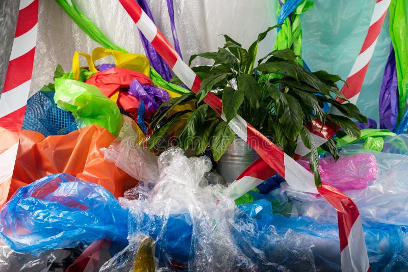 Fresh Green Plant Being in Hard Plastic Environment Stock Image - Image ...