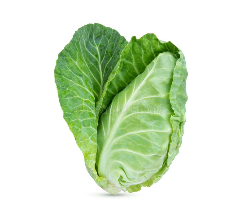 Green Pointed Cabbage with Half Isolated on White Stock Photo - Image ...