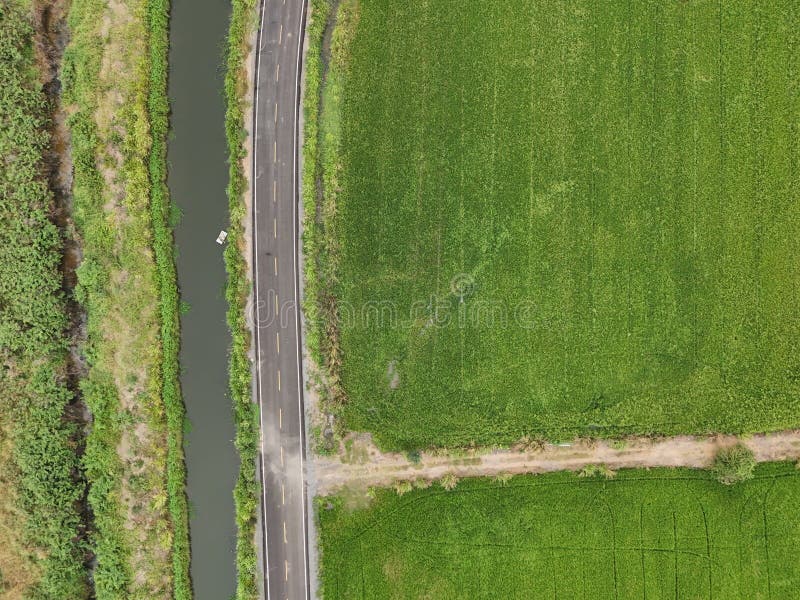 Fresh Green Rice Fields, Aerial Photographs from Drones Stock Photo ...