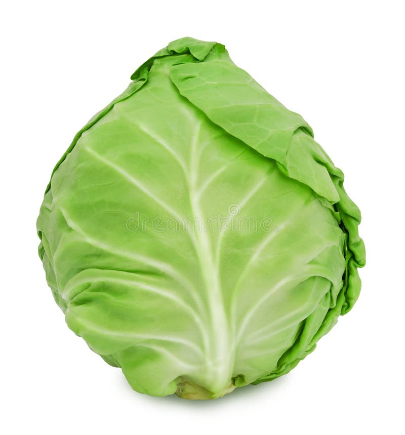 Fresh green ripe cabbage stock image. Image of harvest - 56421647
