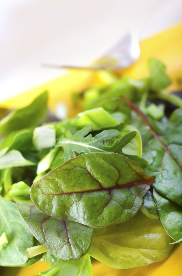Fresh green salad stock photo. Image of isolated, mesclun - 23290842