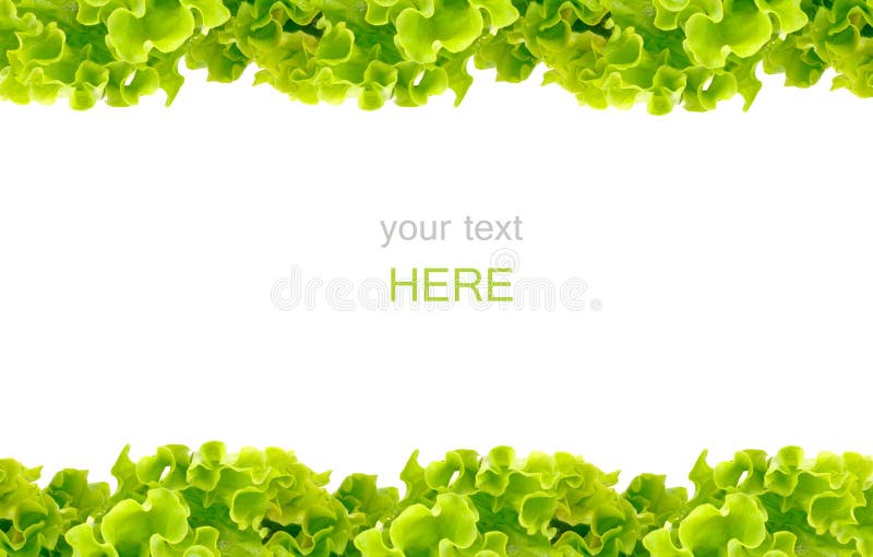 Fresh Green Salad frame stock photo. Image of farm, color - 25069106