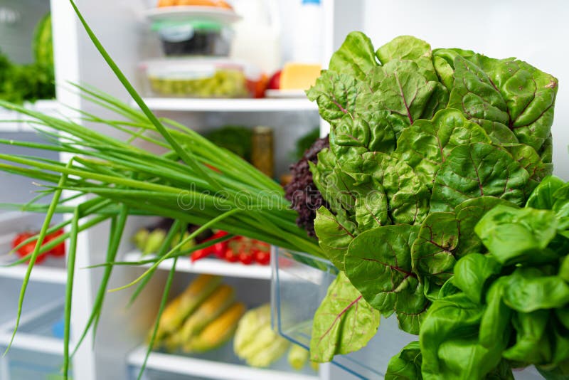 Fresh Green Salad on a Fridge Shelf Stock Photo - Image of ingredient ...