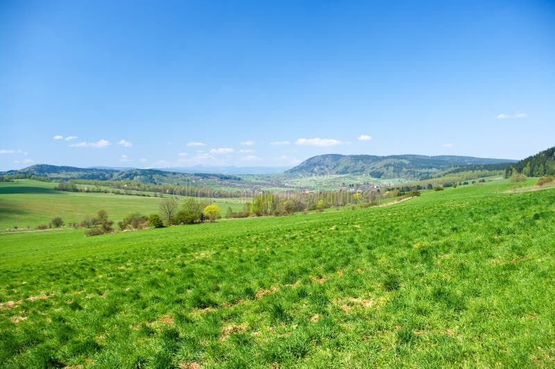 Fresh green scene stock photo. Image of panoramic, open - 19601622