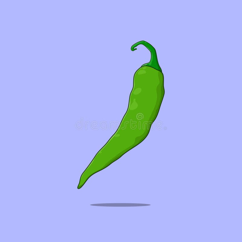 Fresh Green Spicy Chilli Vector Vegetable Illustration Icon Stock ...
