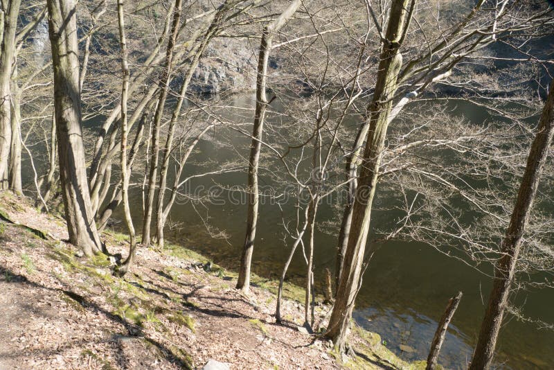 Spring on a Creek in the Forest Stock Image - Image of nature ...