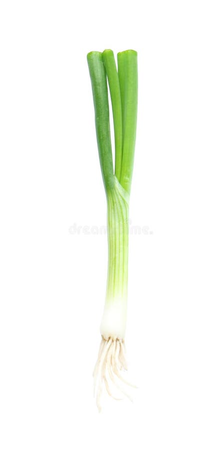 Fresh Green Spring Onion Isolated Stock Photo - Image of leaf, green ...
