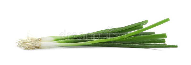 Fresh Green Spring Onions on White Background Stock Photo - Image of ...