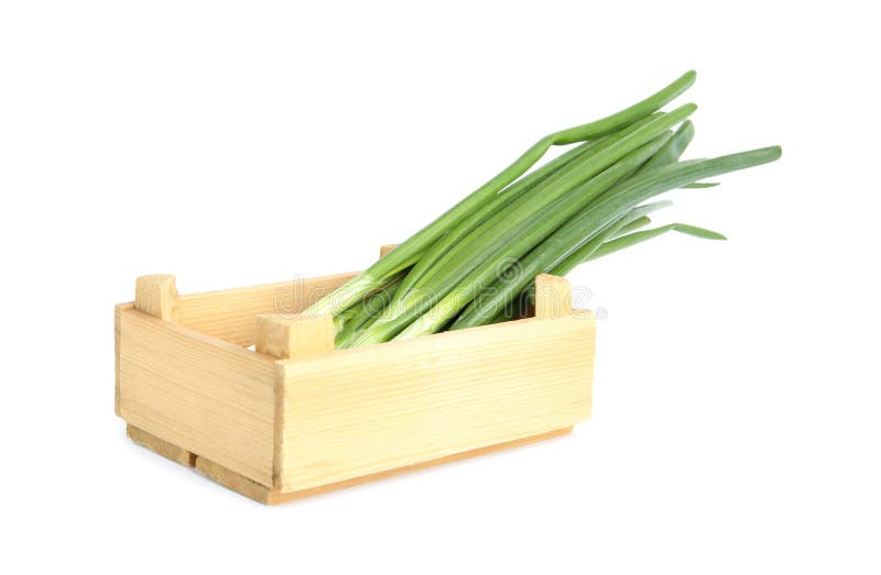 Fresh Green Spring Onions in Wooden Crate Isolated Stock Image - Image ...