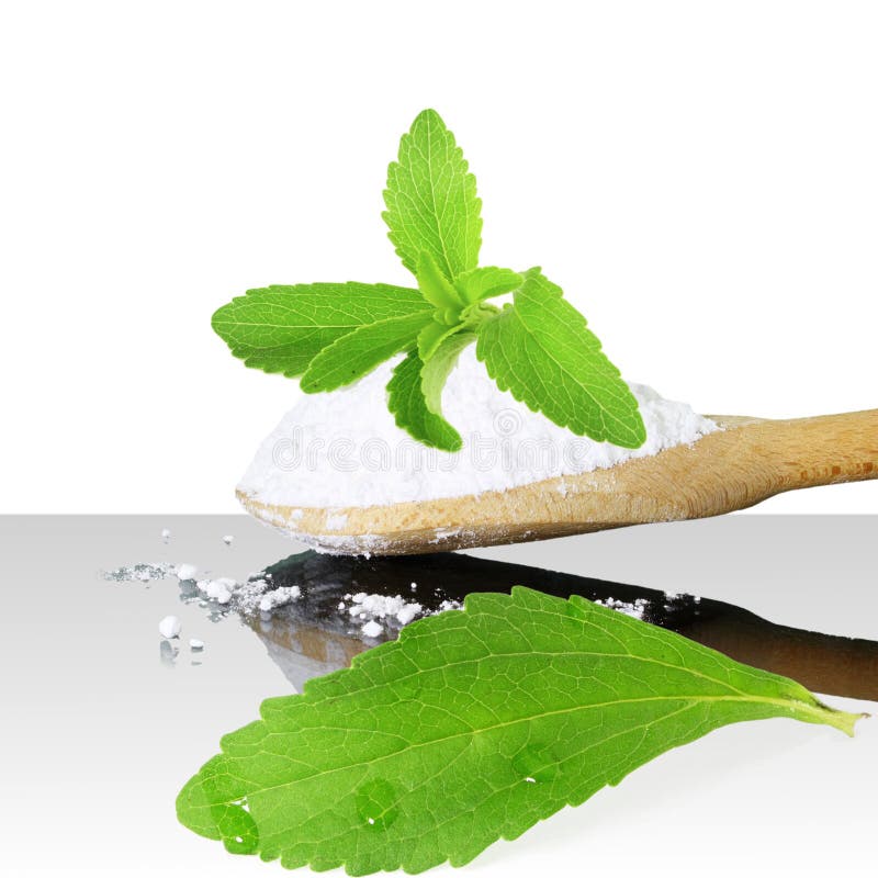 Green and Dried Stevia Rebaudiana Leaves on White Background Stock ...