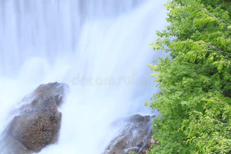 Fresh green and stream stock photo. Image of nature, view - 23803538