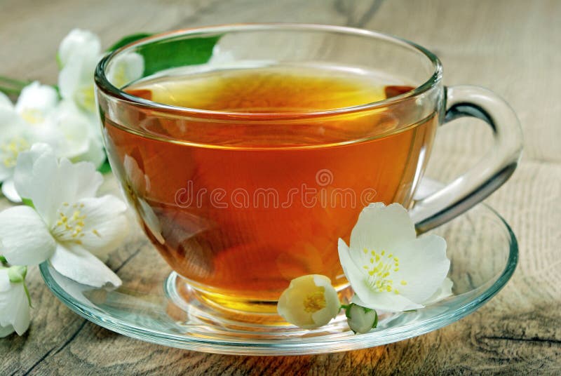 Green Tea with Jasmine on a Tree Close-up Stock Photo - Image of aroma ...