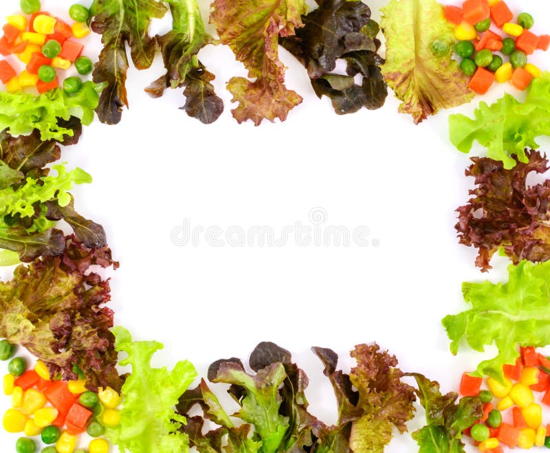 Fresh vegetable frame stock photo. Image of paprika, plant - 21672472