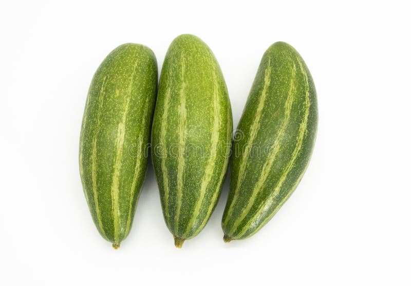 209 Potol Vegetable Stock Photos - Free & Royalty-Free Stock Photos ...