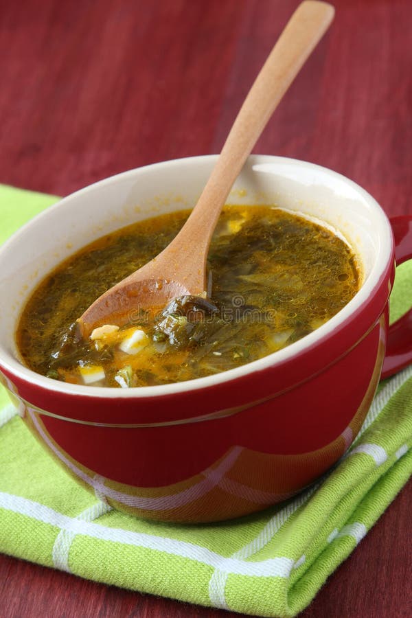 Fresh green vegetable soup stock image. Image of colors - 28612093