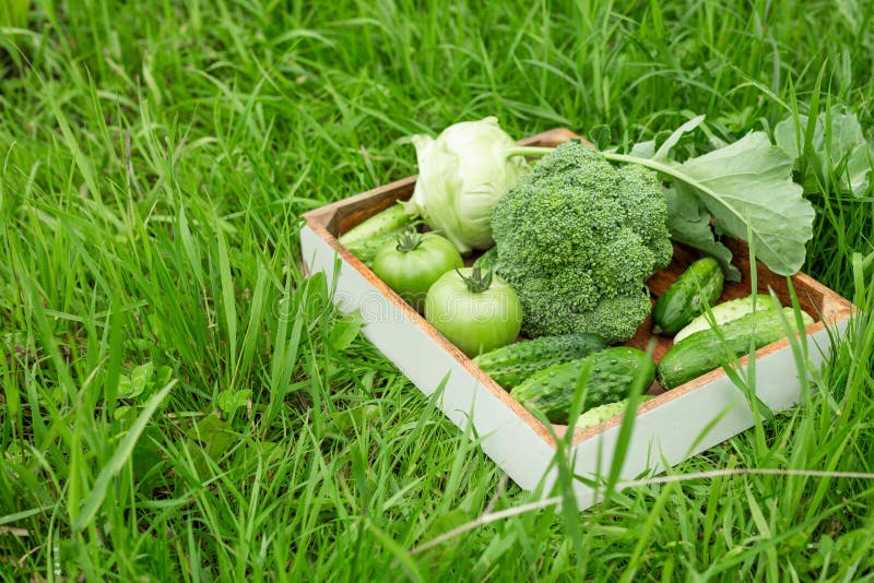 Fresh Green Vegetables in the Wooden Box on the Grass Stock Photo ...