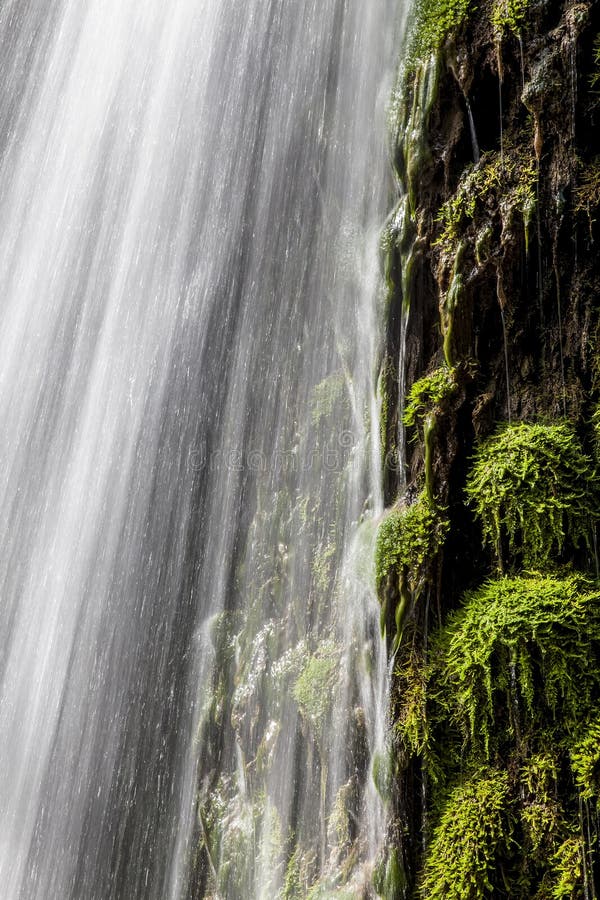 Fresh Green Waterfall Walpaper Stock Photo - Image of green, fresh ...