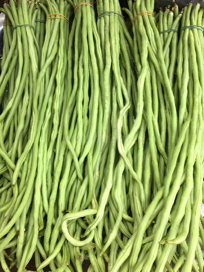 Fresh Green Yard Long Beans in the Market Stock Image - Image of ...
