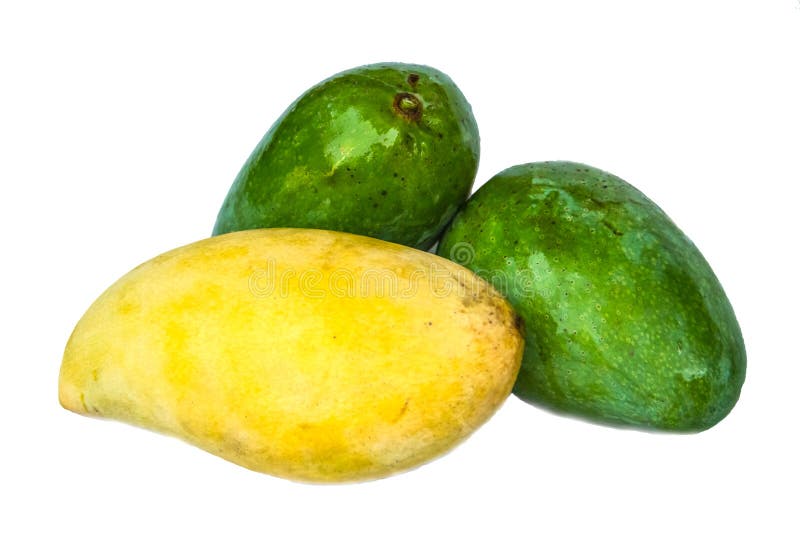 Eating mango stock photo. Image of mango, children, casual - 40509808