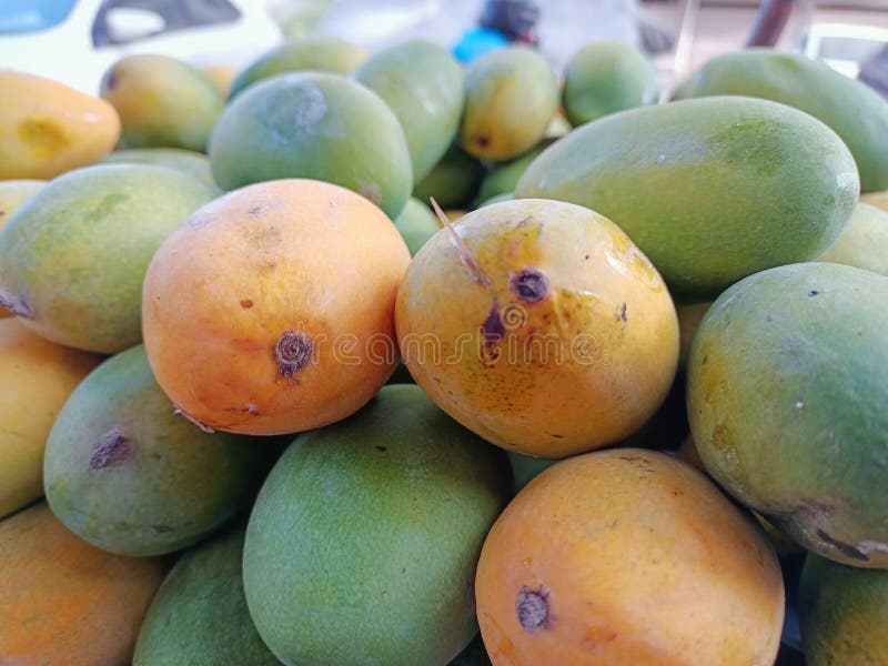 Fresh Green and Yellow Mangoes Stock Photo - Image of tomato, fruit ...