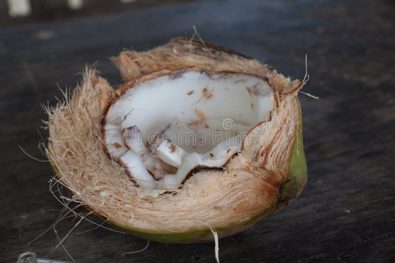 Coconut Split in Half stock image. Image of ripe, exotic - 17927381