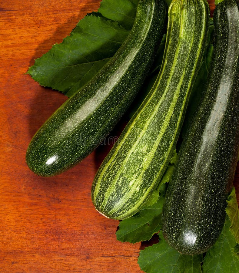 Green Zucchini stock image. Image of garden, cerise, cucumber - 19781757