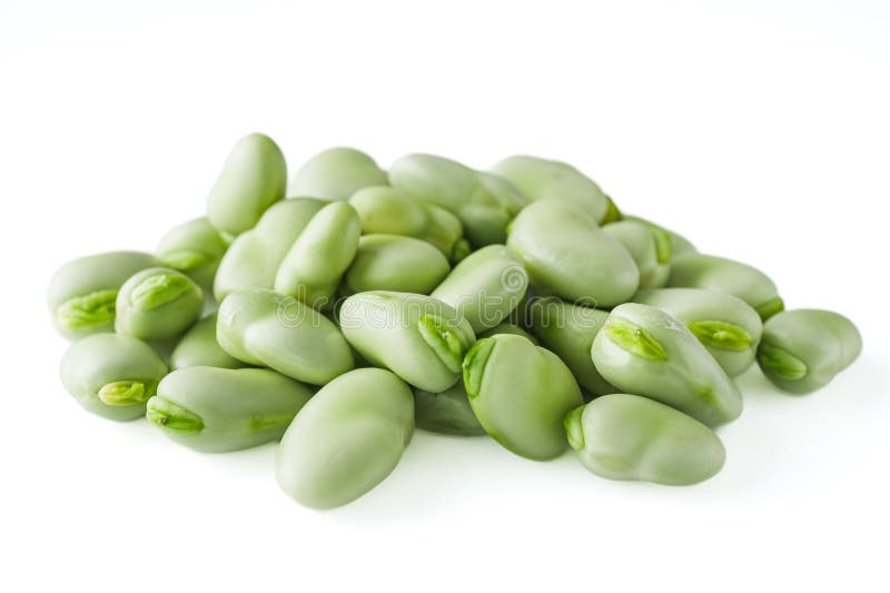 Fresh Greens Broad Beans Fava on a White Background Stock Photo - Image ...
