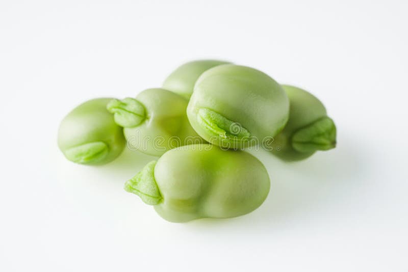 Fresh Greens Broad Beans Fava on a White Background Stock Image - Image ...