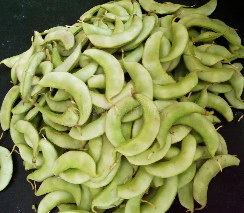 Fresh Grenn Colored Lablab Purpureus or Indian Bean or Sem Stock Image ...