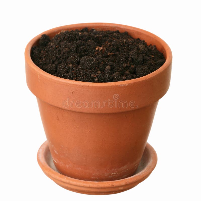 Fresh ground stock image. Image of plate, earth, empty - 8856795