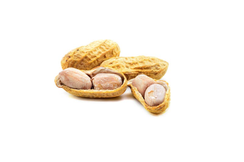 Fresh ground nuts stock image. Image of nutritious, cook - 34965275