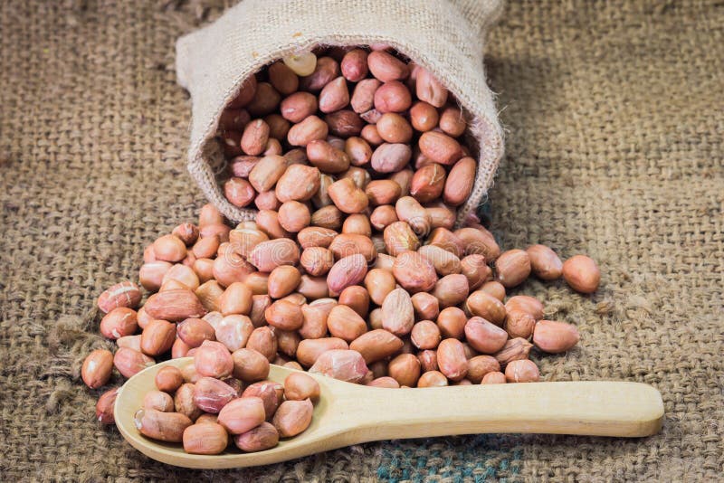 Fresh ground nuts in spoon stock photo. Image of groundnut - 59508780