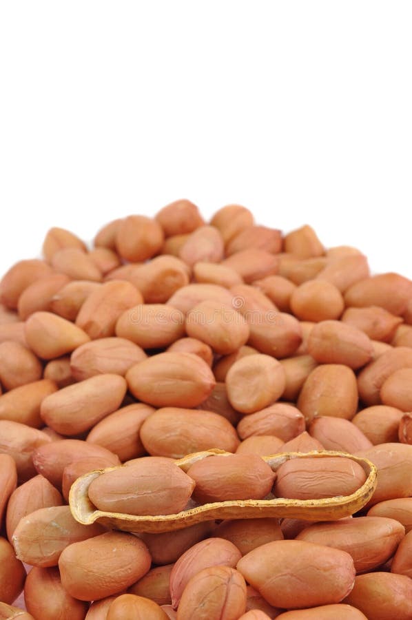 Fresh groundnuts stock image. Image of delicious, snack - 35623073