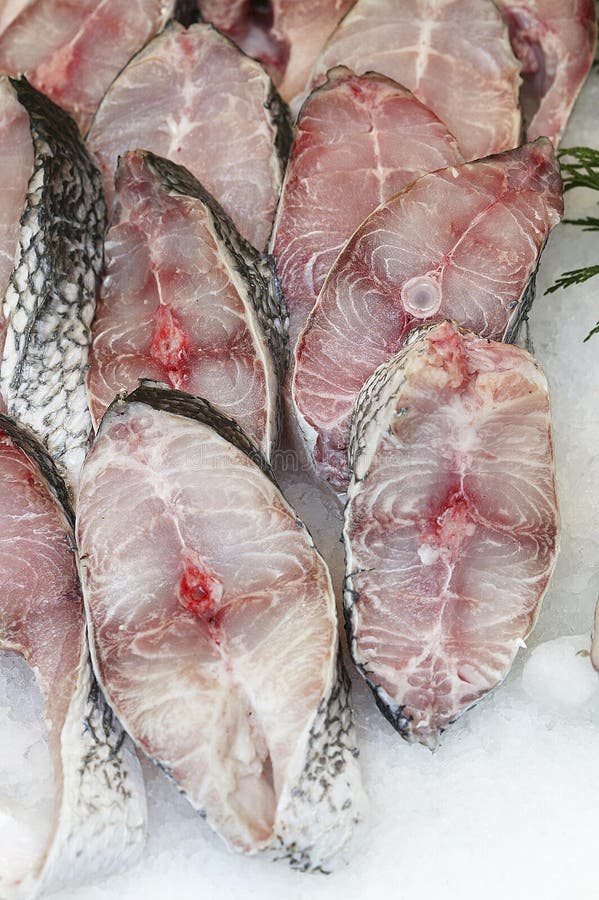 Fresh Grouper on Ice at Fish Shop Stock Photo - Image of serranidae ...